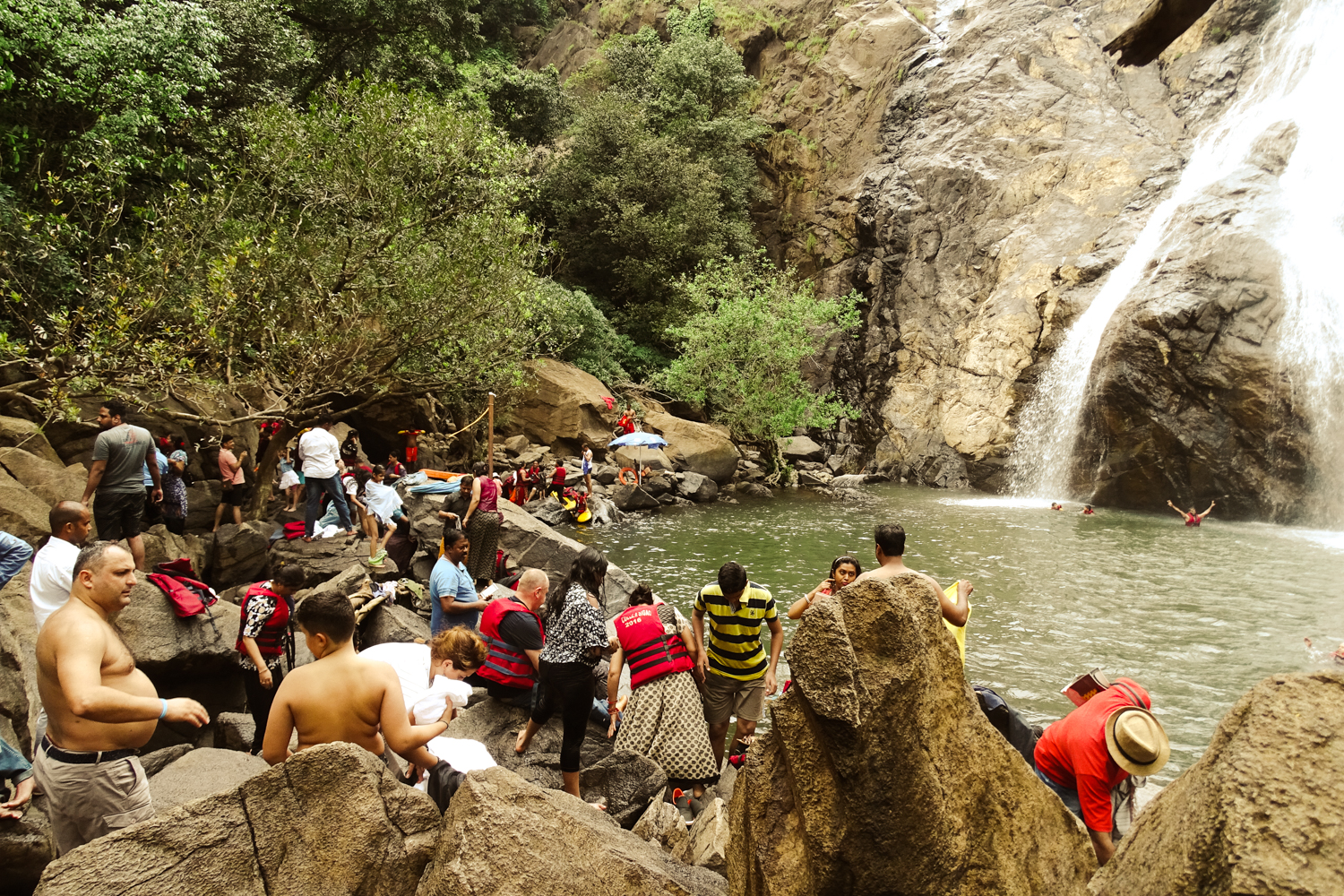 - PhotoMuse India Goa natural park stock photo_waterfall